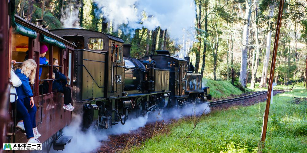 ダンデノン丘陵 (Dandenong Ranges)｜自然・列車・庭園を満喫